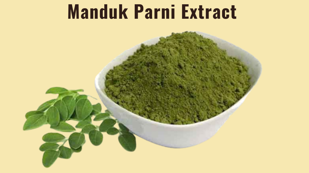 Mandukparni Extract - Medinutrica